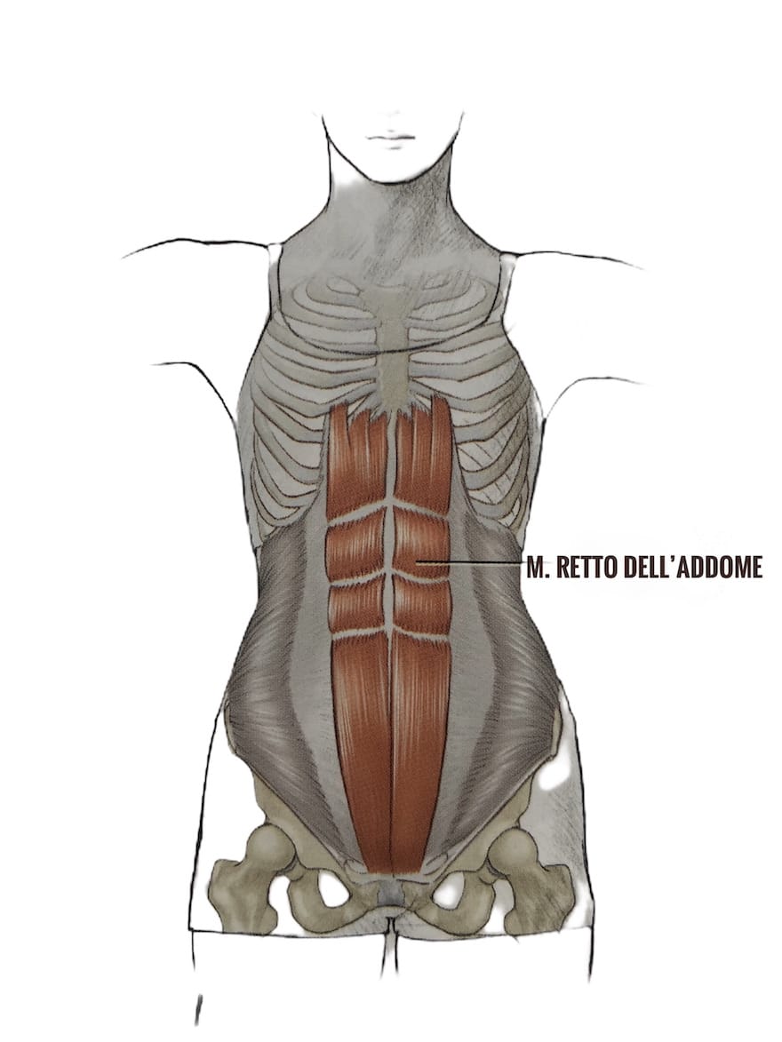 Isostretching – Dott.ssa Denise Winkler